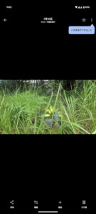 改めて。Android「Google フォト」再設計UI展開 – Jetstream