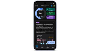 Gemini統合！Android/iOS「Fitbit」リニューアルへ – Jetstream